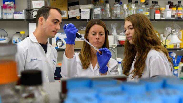 Dekkers Endowed Chair Receives New National Institutes of Health Grant ...