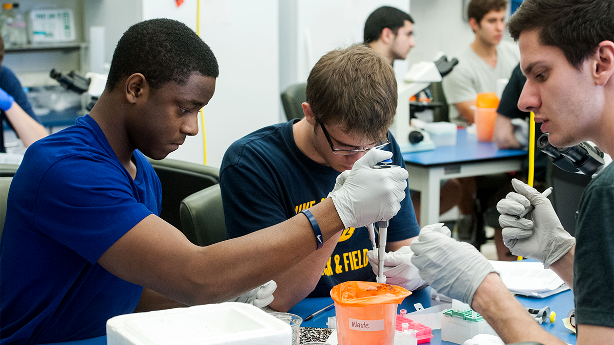 Bachelor of Science in Human Science | School of Health | Georgetown ...