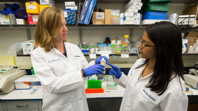 Bachelor of Science in Human Science | School of Health | Georgetown ...