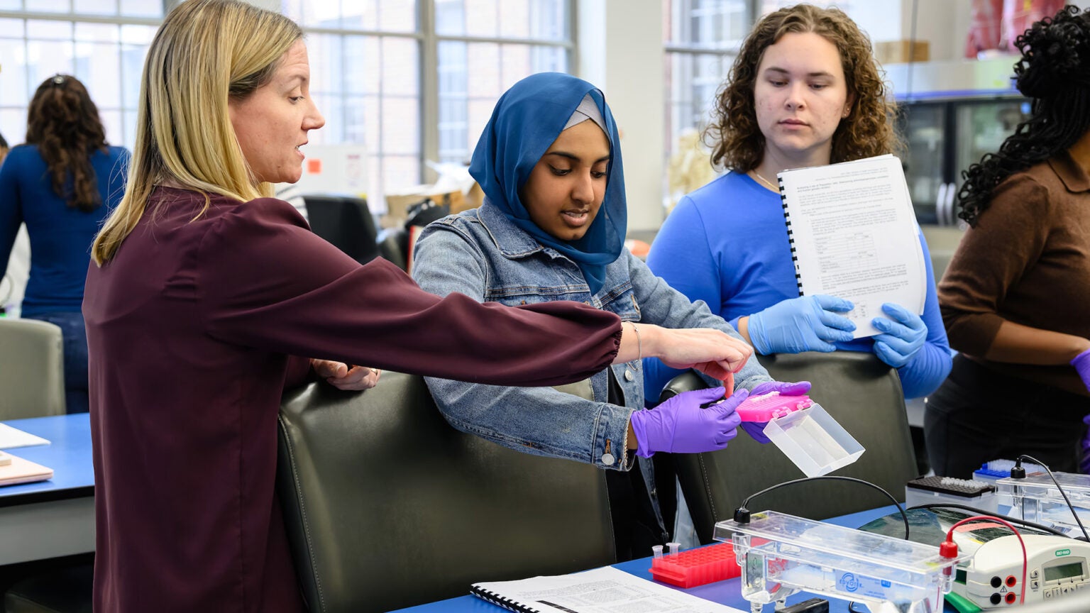 Bachelor of Science in Human Science | School of Health | Georgetown ...
